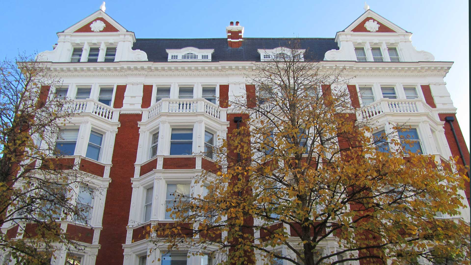 Home — MFG Surveyors